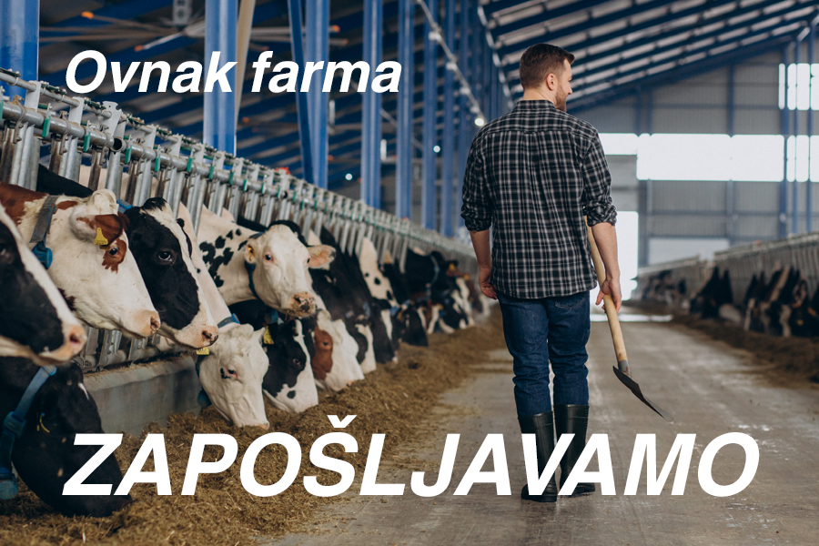 MODERNA FARMA AUTOMATIZIRANIH PROCESA U VITEZU RASPISUJE OGLAS ZA ...